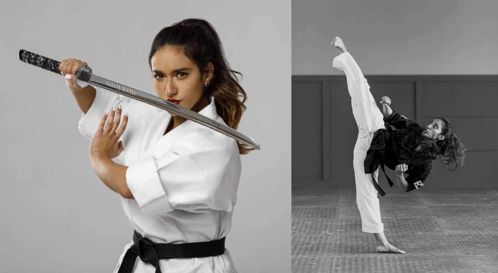 Global Stunt Directory and Professional Stunt Registry