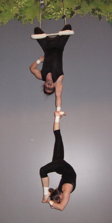 Global Stunt Directory and Professional Stunt Registry
